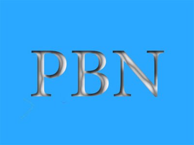 PBN چیست؟ لینک سازی PBN به چه معناست؟